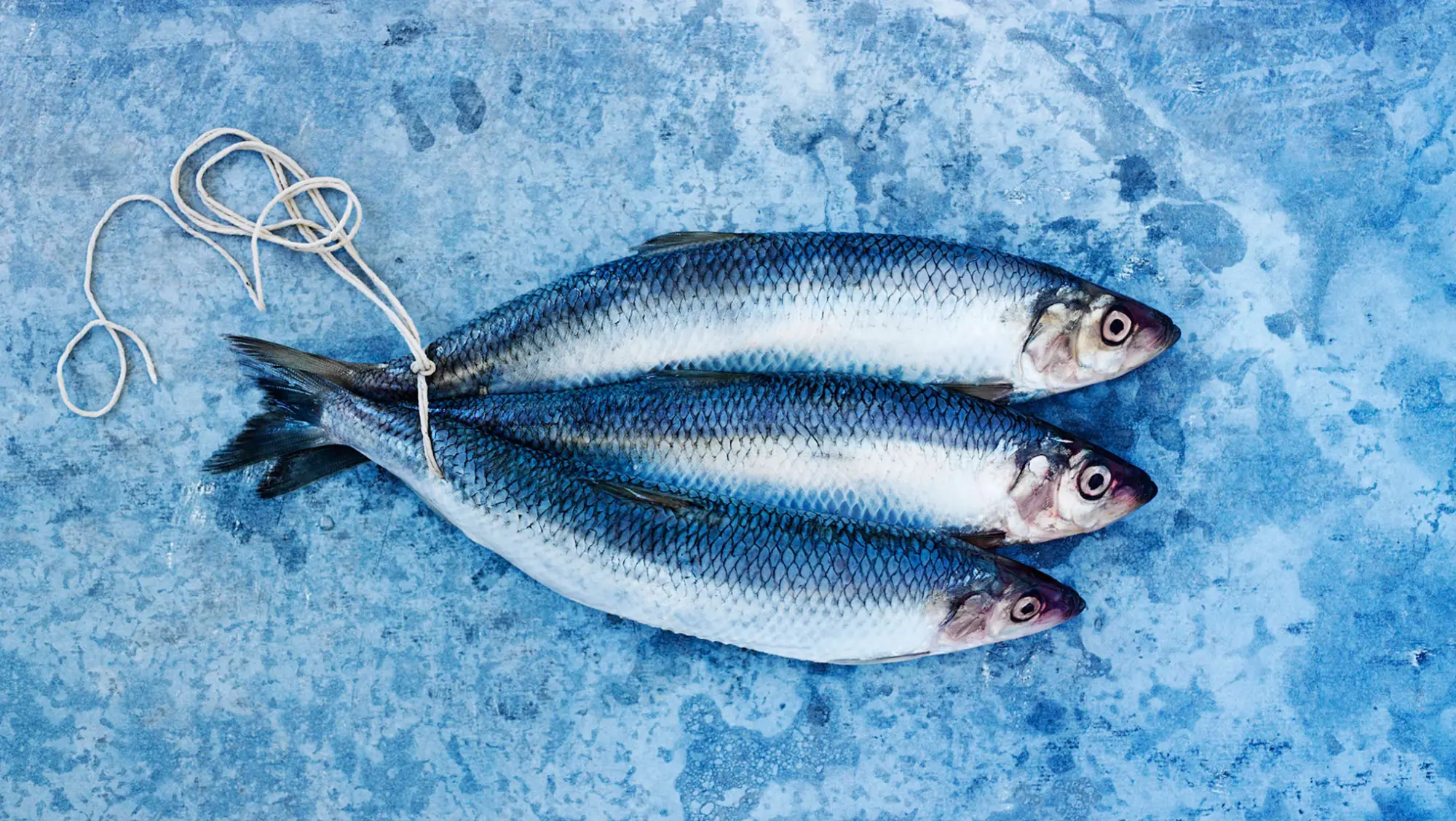 Mark & Bjerre - Film, reklame- og produktfoto